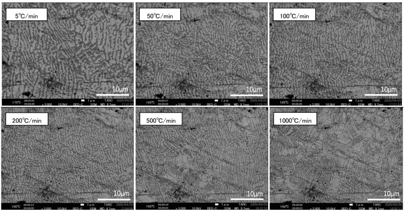 金属組織の冷却速度依存性（加熱SEM） | 株式会社東ソー分析センター